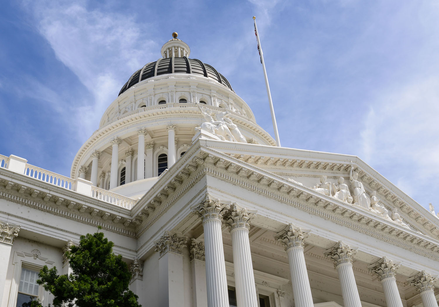 ROC's Capitol Updates - Roots of Change